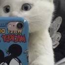 求助！！！导入System.IO.Ports命名空间 - 技术问答 - Unity官方开发者社区