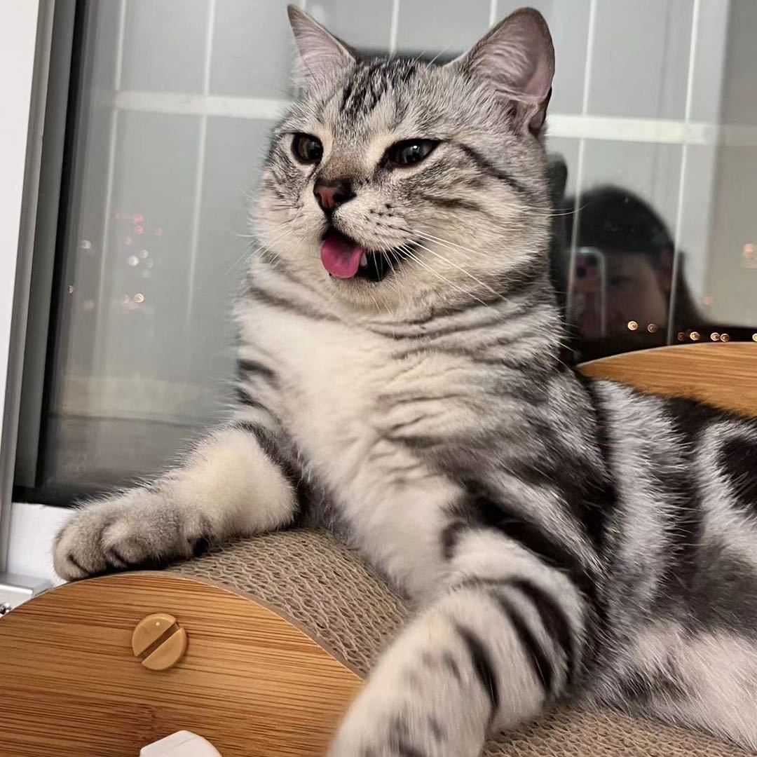 取成员ID列表接口 是报错48002？ - 开发者社区 - 企业微信开发者中心