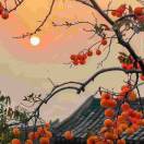 刘小龙 Liu Xiao Long - 中羽在线