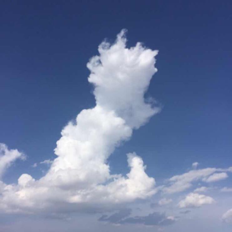 删除跟进成员事件没有回调？ - 开发者社区 - 企业微信开发者中心