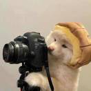 UnityWebRequest error为Cannot connect to - 技术问答 - Unity官方开发者社区