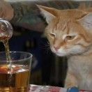 求救！Unity转WebGL打开报错WebAssembly streaming - 技术问答 - Unity官方开发者社区