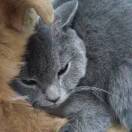 JSPP极速版app-官方正版软件2025最新版本免费下载-应用宝官网